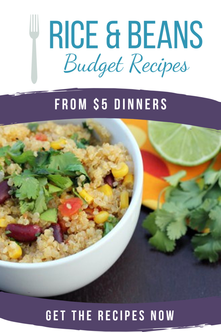 Best Rice and Beans Budget Recipes from $5 Dinners