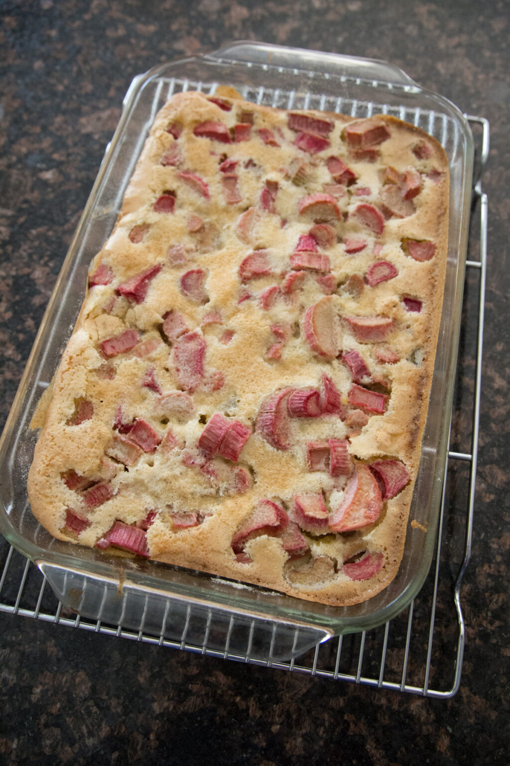 Rhubarb Dream Bars Recipe