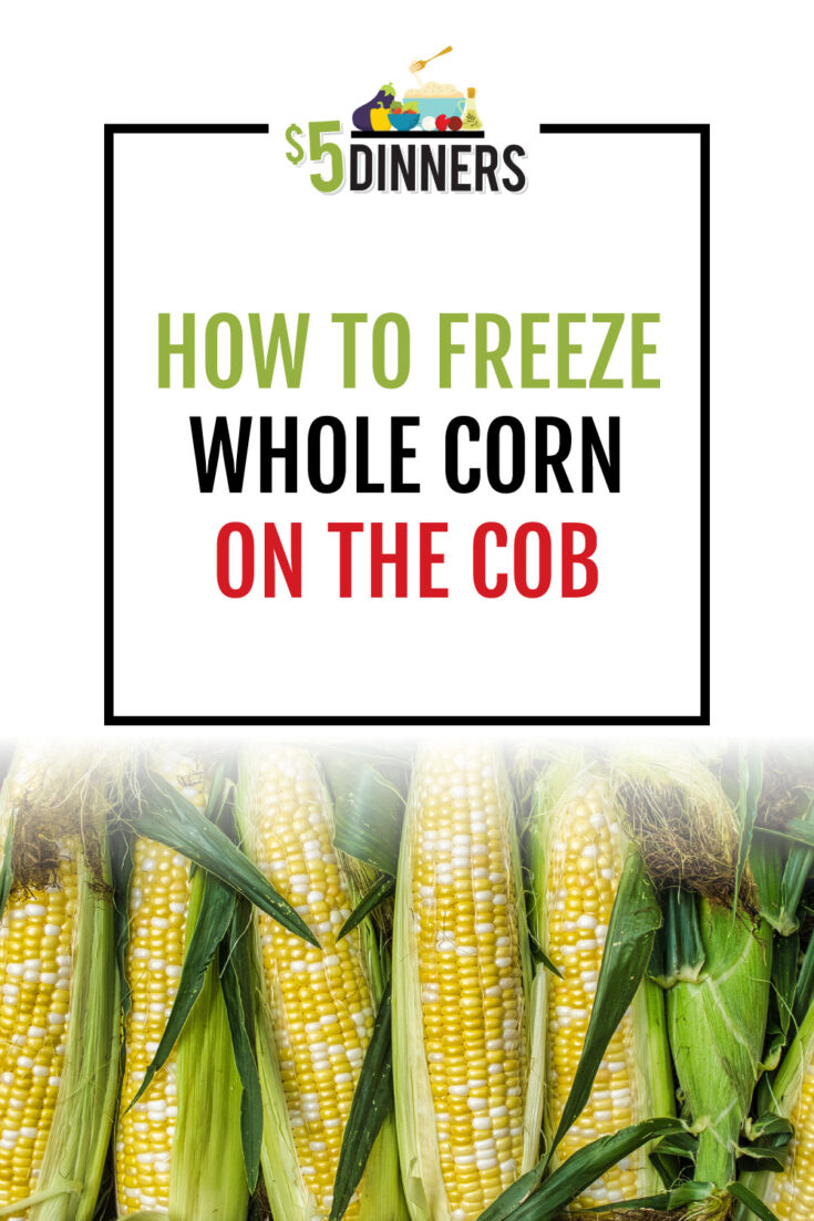 How to Freeze Whole Corn on the Cob on $5 Dinners