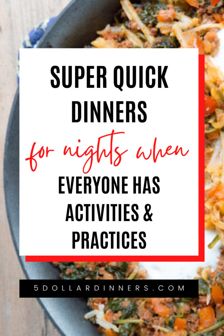 Super Quick Dinners for Busy Nights - $5 Dinners