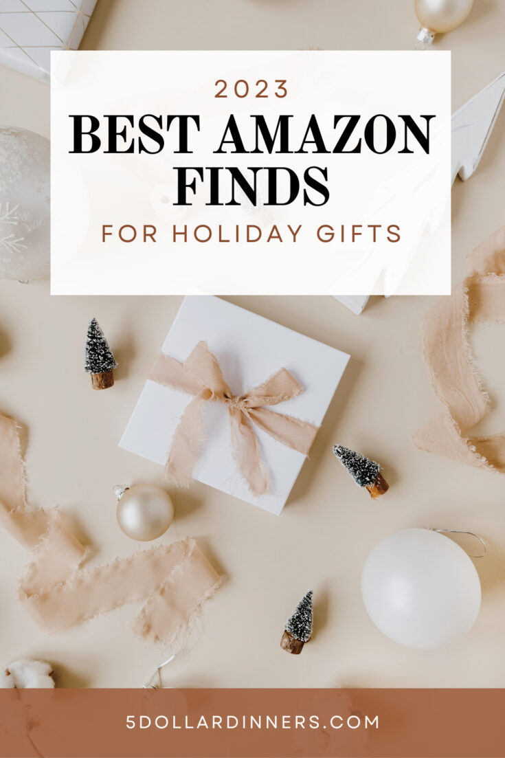 Gift Ideas for Everyone on your Prime Holiday Shopping List - $5 ...