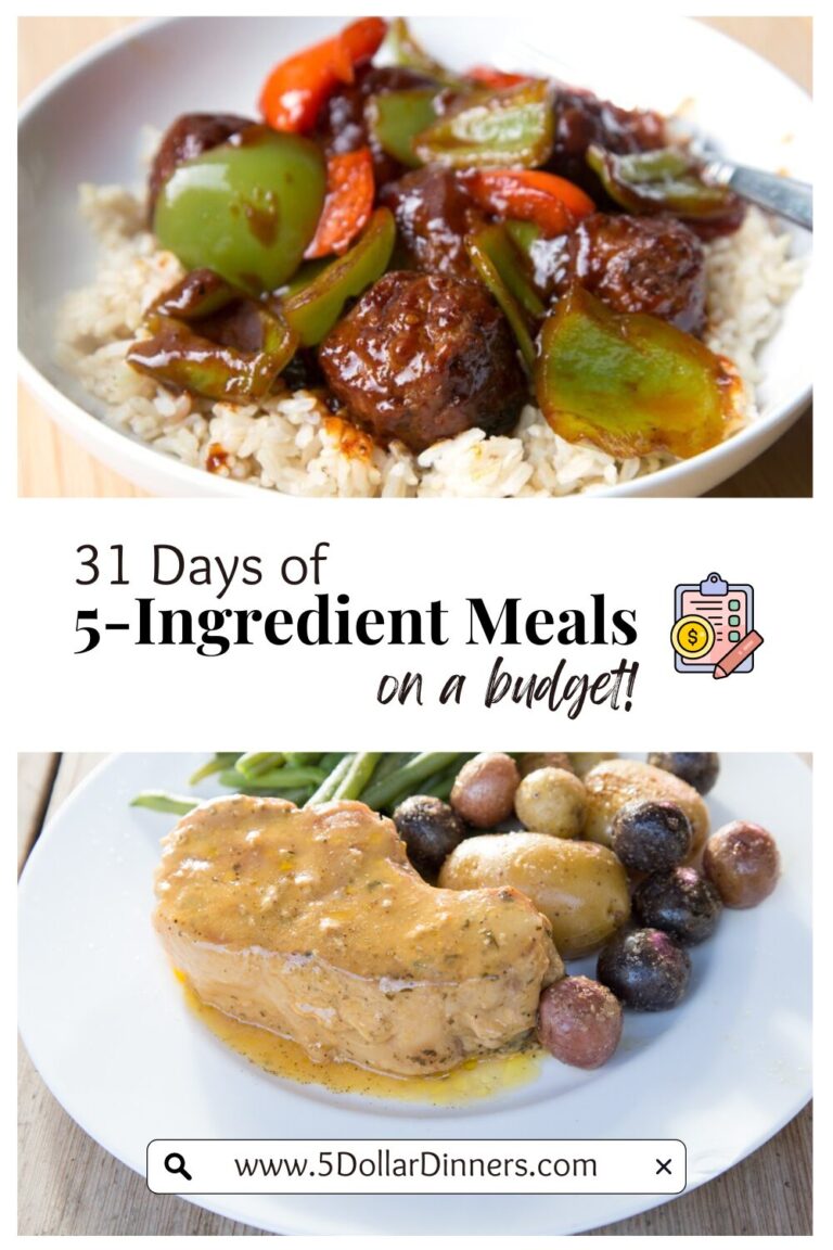 31 Days of 5-Ingredient Meals on a Budget - $5 Dinners | Budget Recipes ...