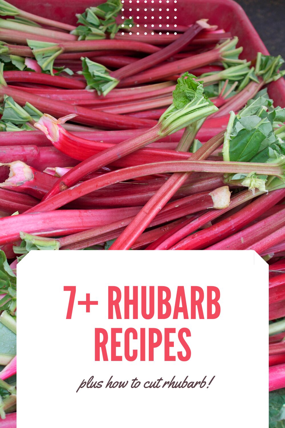 ROUNDUP: Best Rhubarb Recipes - $5 Dinners | Budget Recipes, Meal Plans ...